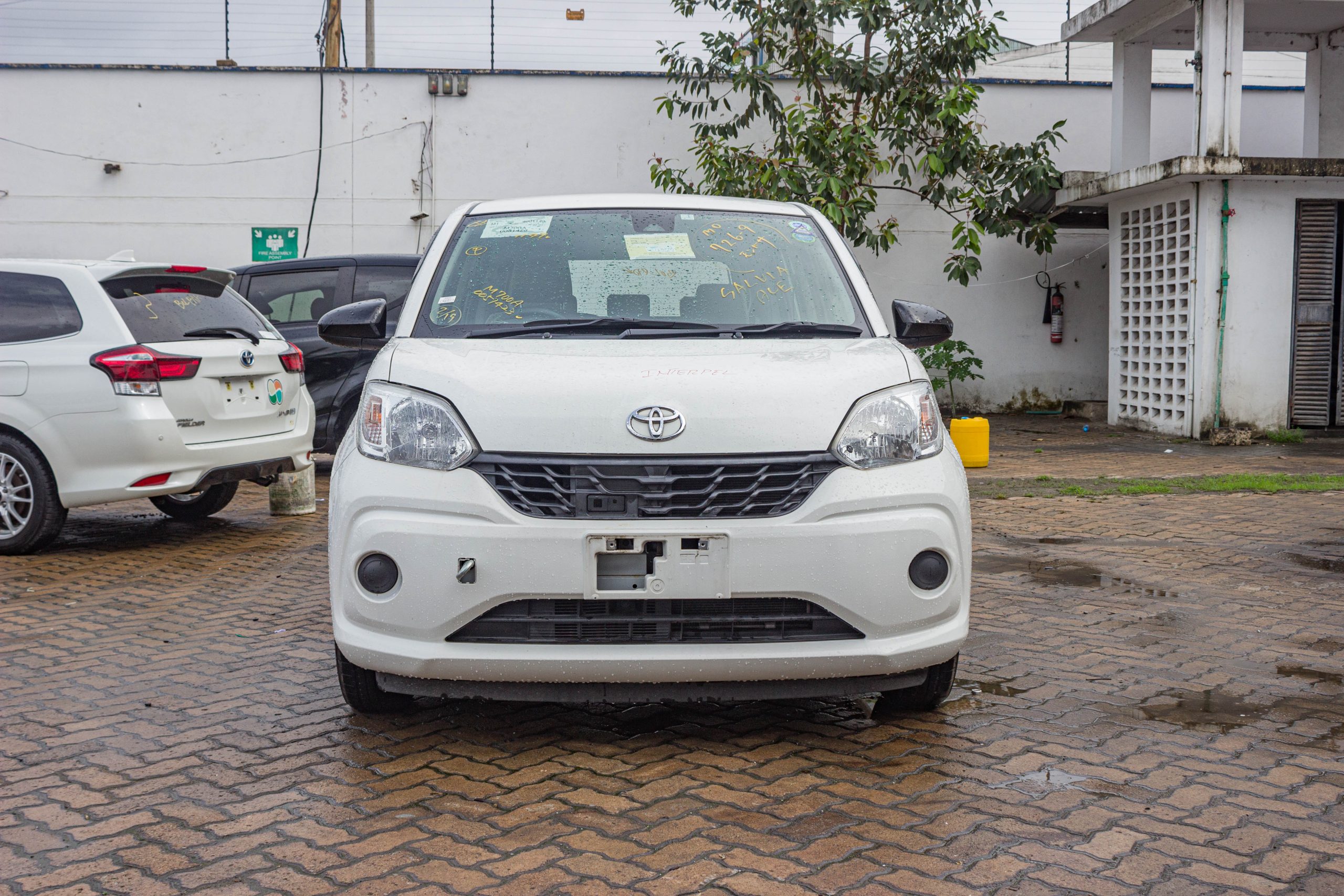 Toyota Passo White 2017 – Sammy Traders Ltd